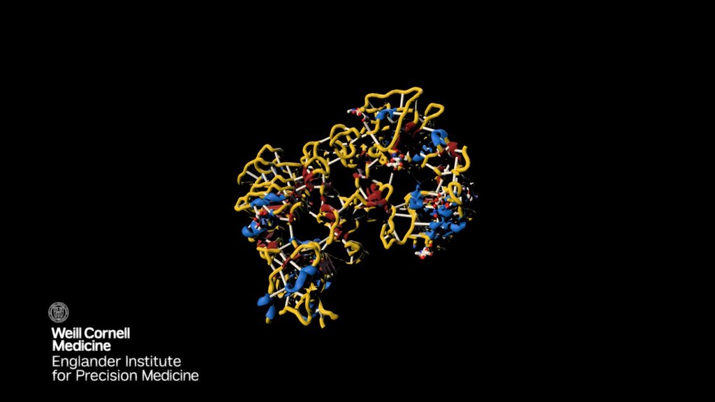 Protein Structure | PDB ID 1IVO - Download Free 3D model by Alexandros ...