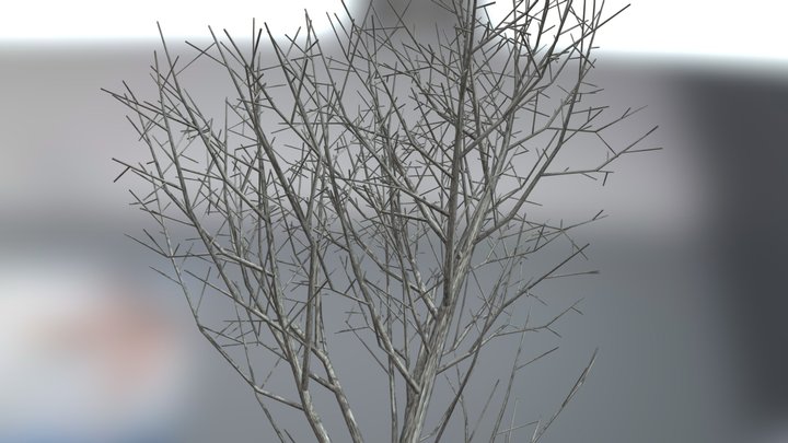 Bush in animation - Perfect for dry place - Buy Royalty Free 3D model ...