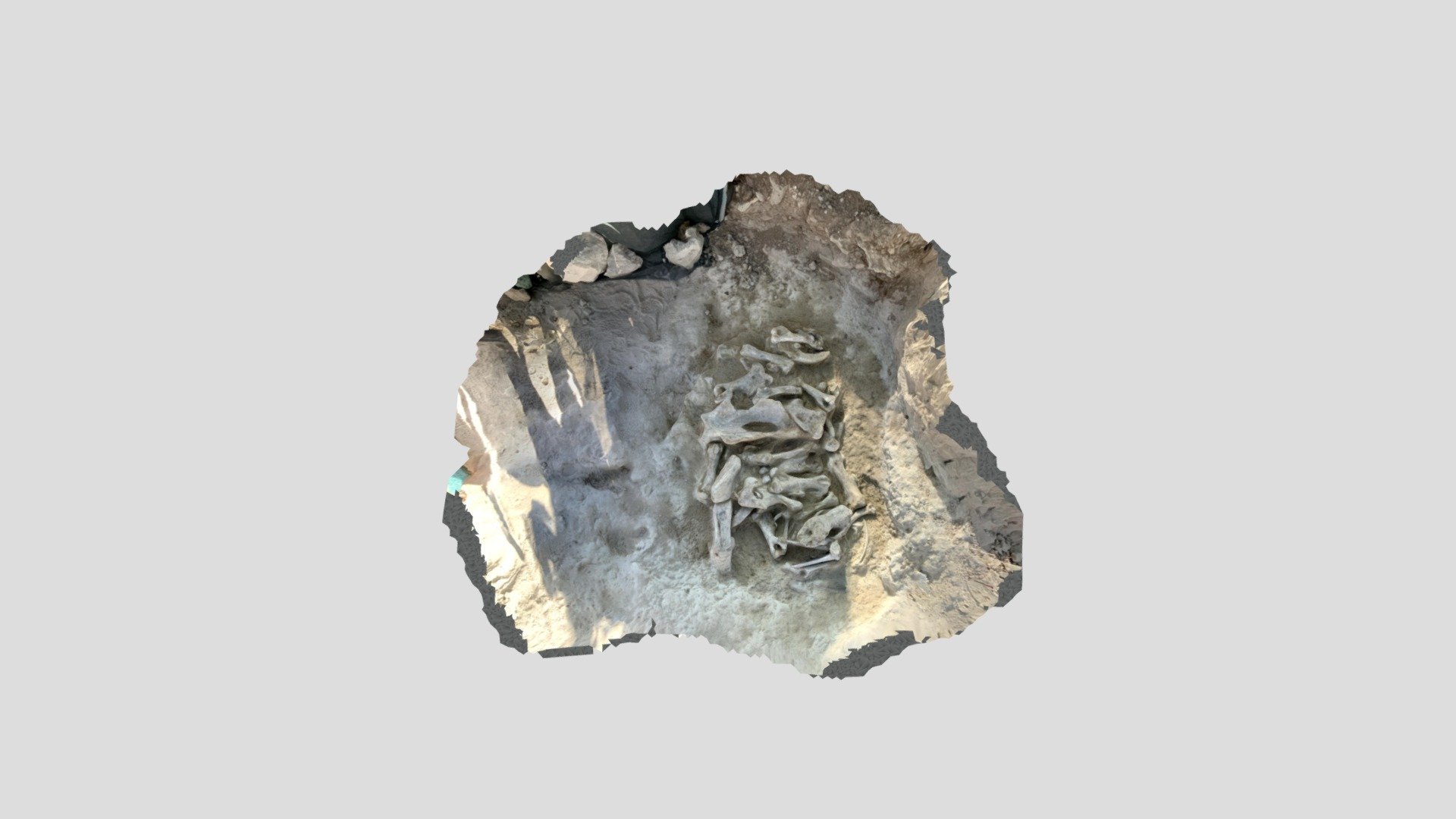 A TRNIO Model - 3D model by Melih Karakurt (@karakurtmelih) [ae7a676 ...