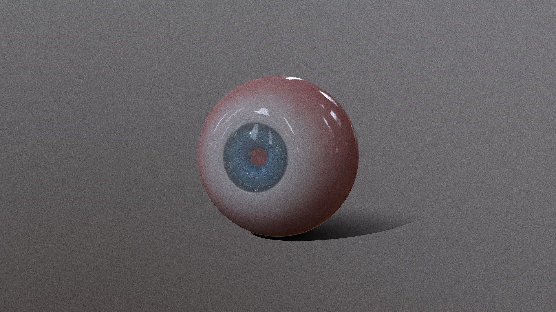 Eye 3D model - 3D model by fercm10 [ae7e2b3] - Sketchfab