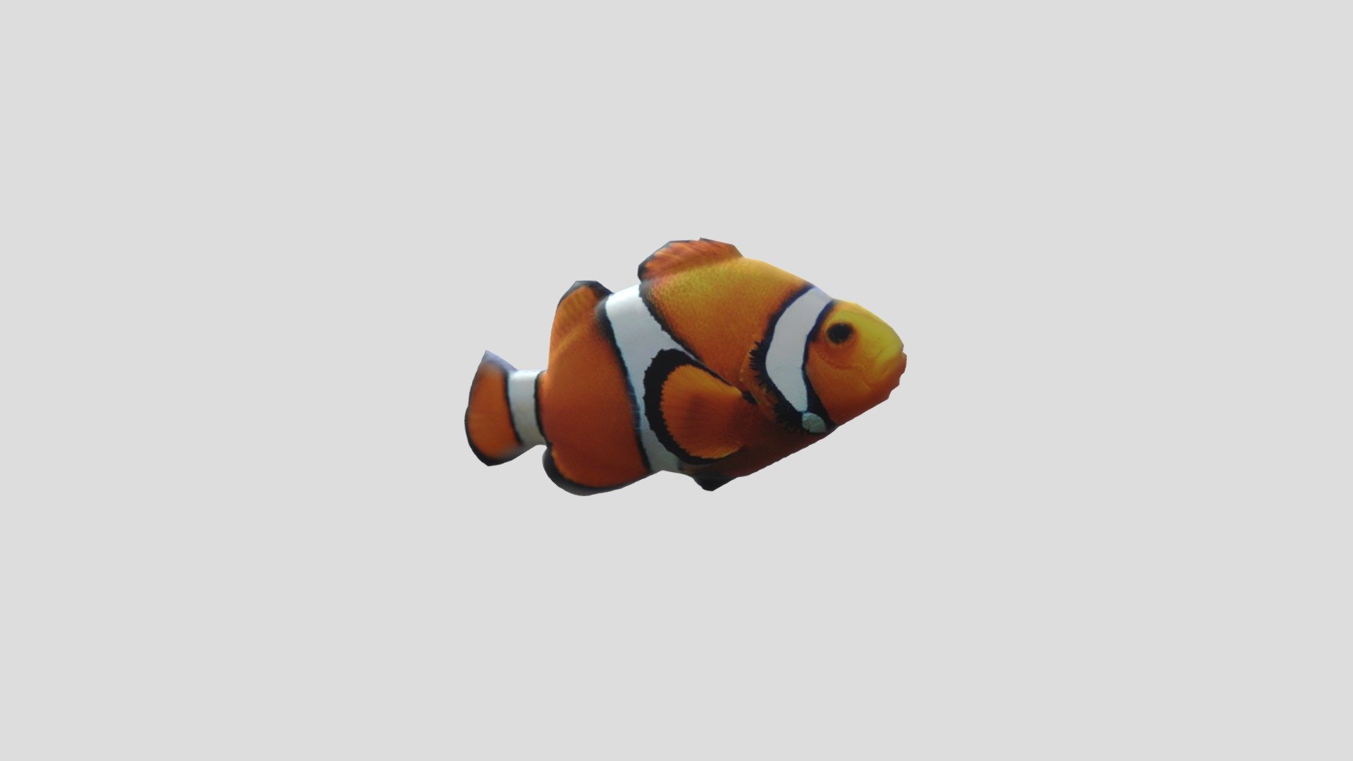 Ikan - 3D model by zilfaama [ae7e2dd] - Sketchfab