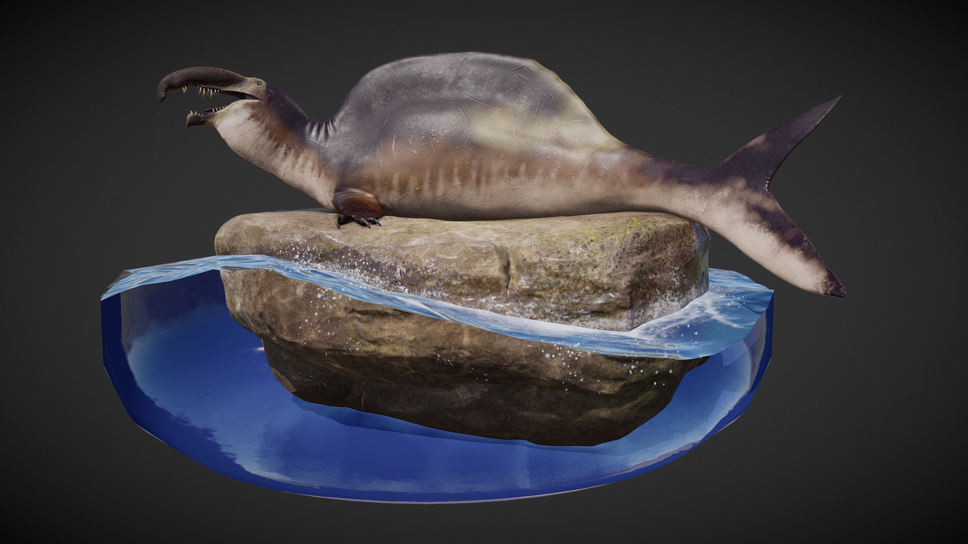 Spinofaarus vulgaris - 3D model by Chris Masna (@ChristianMasnaghetti) [ae806e0] - Sketchfab