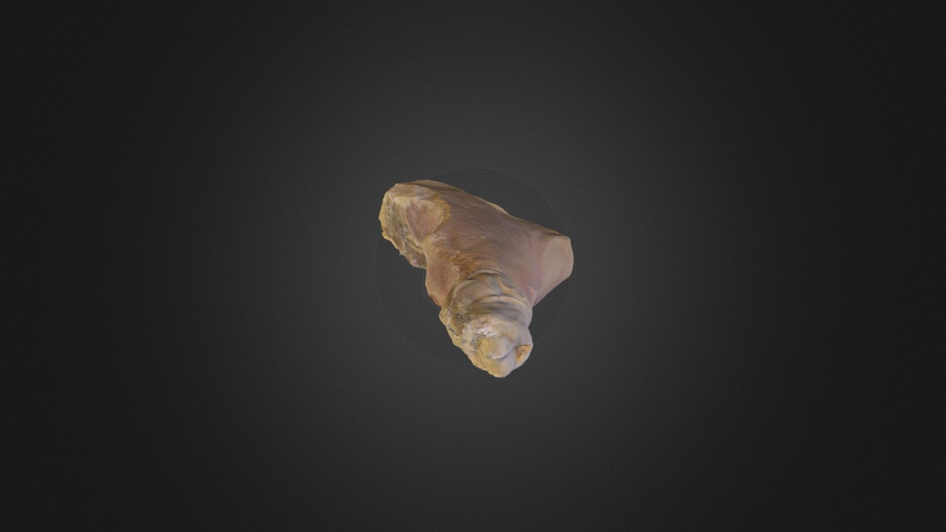 Leg - 3D model by AlexBlazh [ae819ed] - Sketchfab