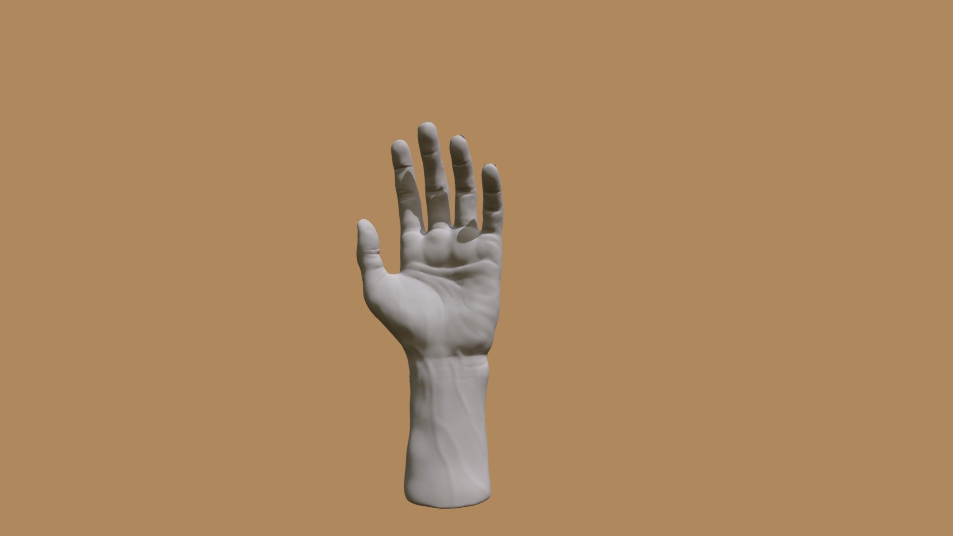 Human Hand - 3D model by Headcrab (@yellowstoner) [ae85952] - Sketchfab