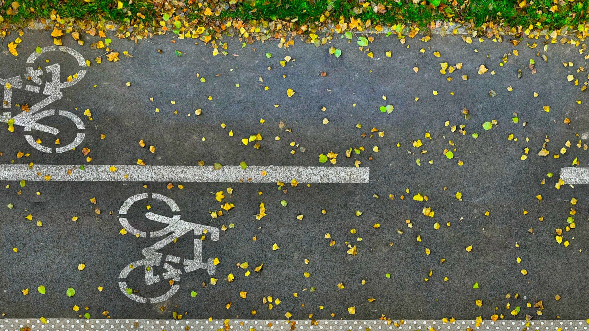 Bicycle path - 3D model by Tomhaj [ae8d9fb] - Sketchfab