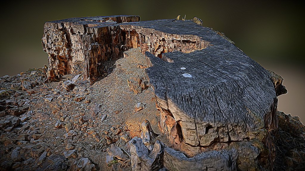 Log with Mushrooms - Photogrammetry - 3D model by makeanything3d.com ...