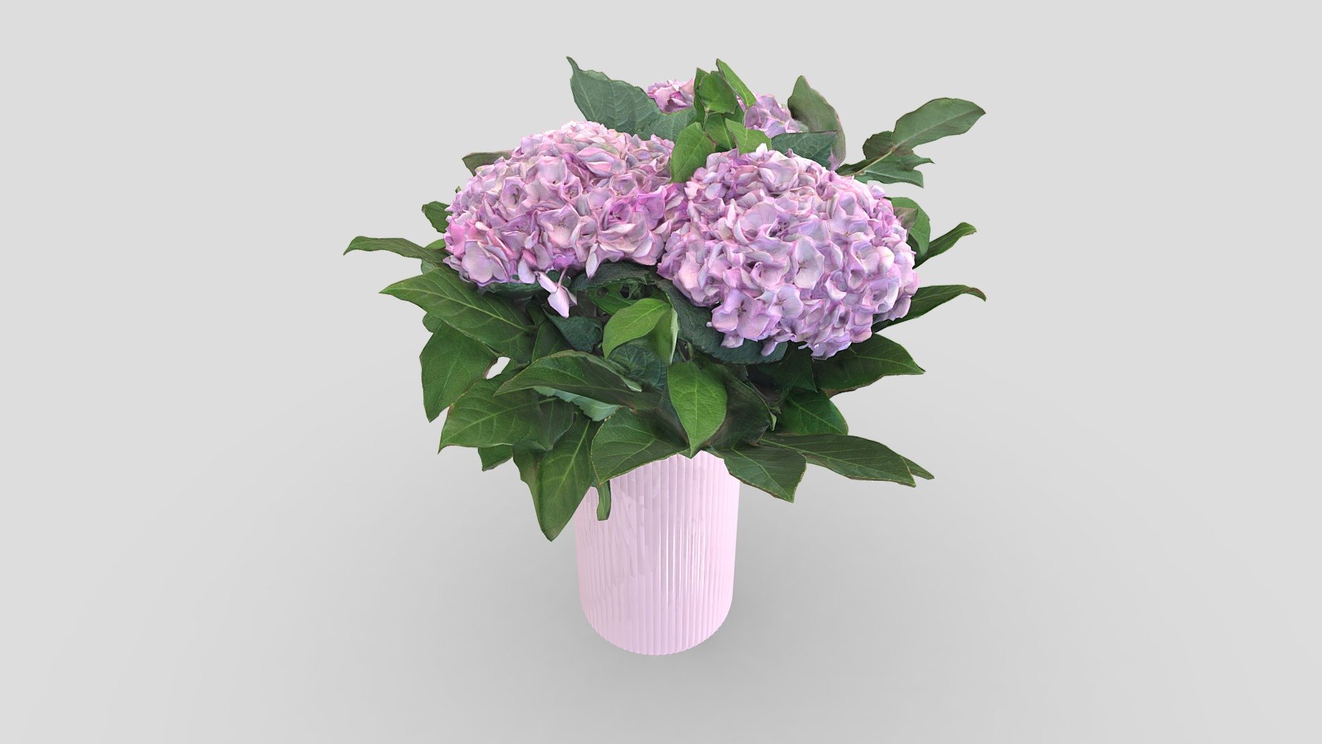 Flower Bouquet - 3D model by 360Fabriek [ae9246e] - Sketchfab