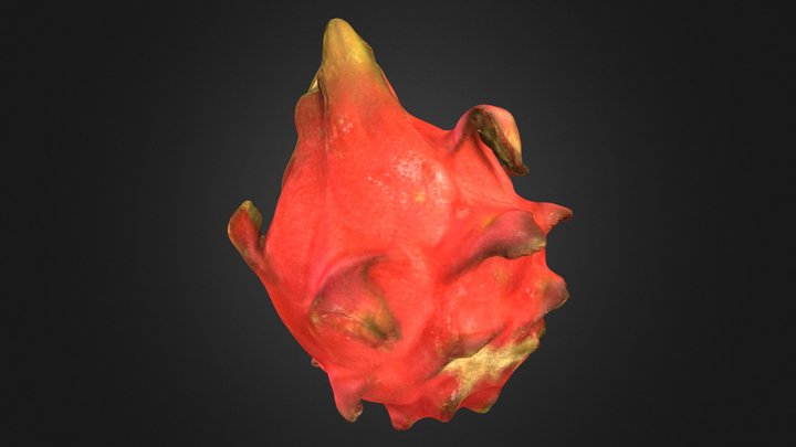 Pitaya 3D models - Sketchfab
