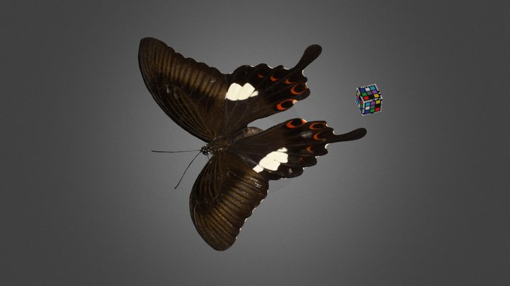 Helenus 3D models - Sketchfab