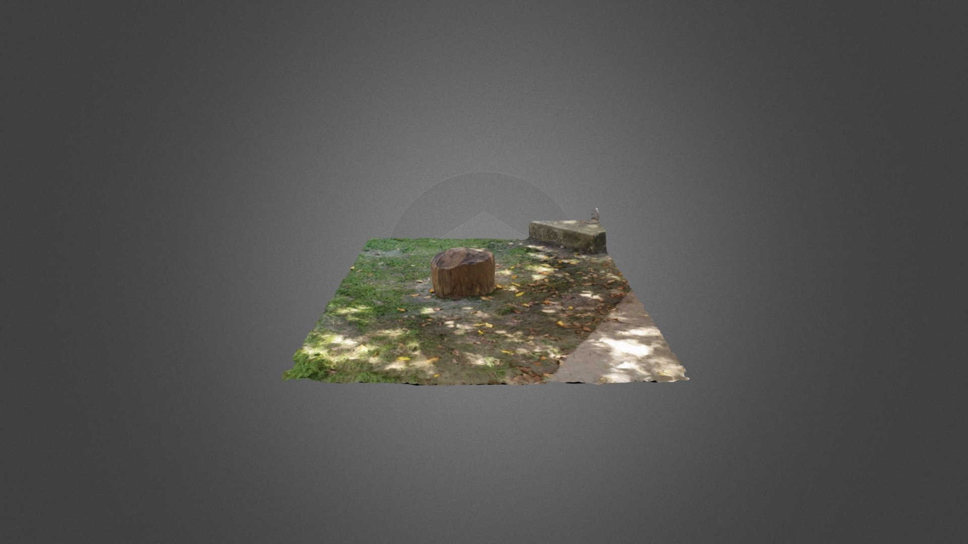 Piece of Petrified Wood on LSU Campus - 3D model by Conan Mills ...