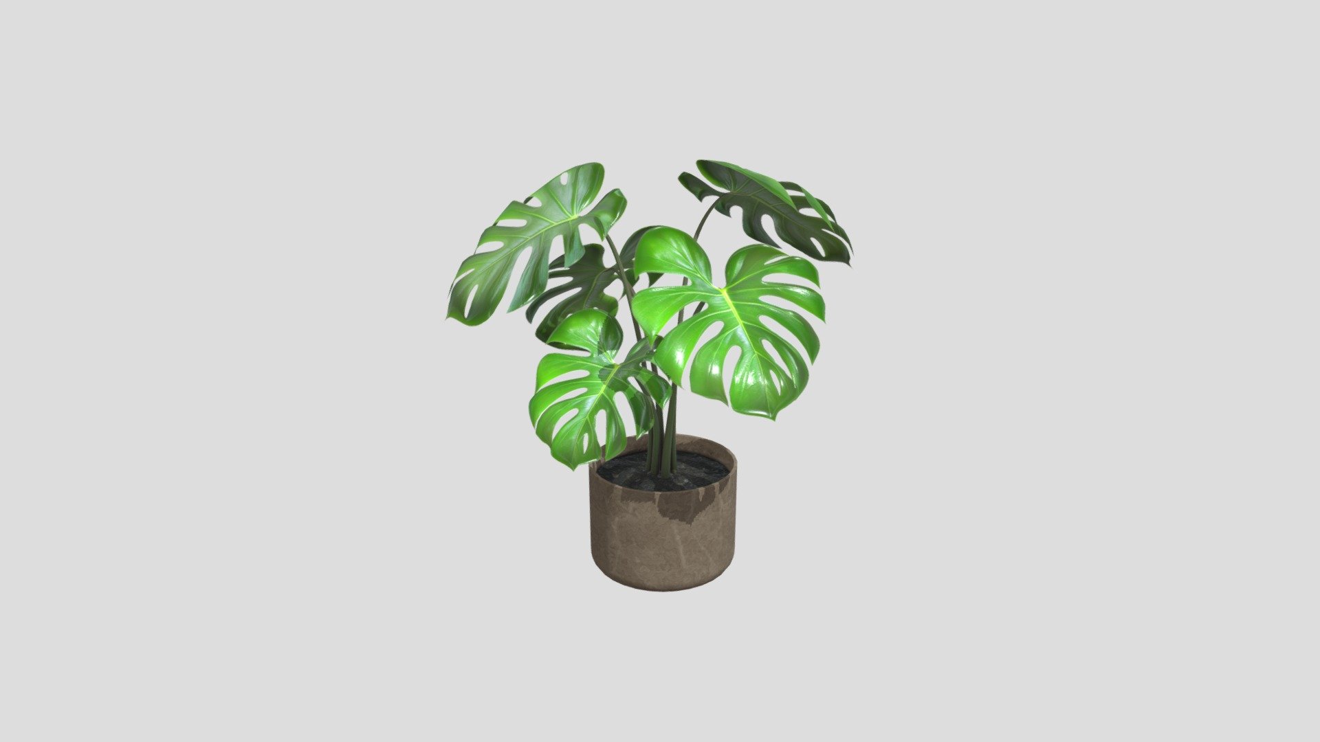 Plant1 - 3D model by abdulmoeid52 [ae9d928] - Sketchfab