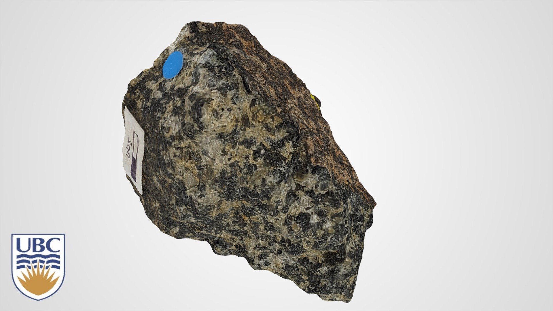Skaergaard intrusion LZc* (SEB87-247) - 3D model by Nichole Moerhuis ...