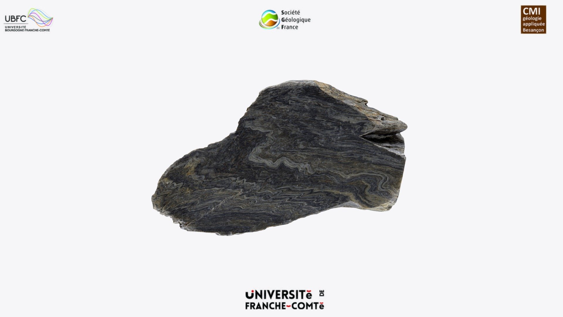 microfolds in metapelite / microplis - Download Free 3D model by ...