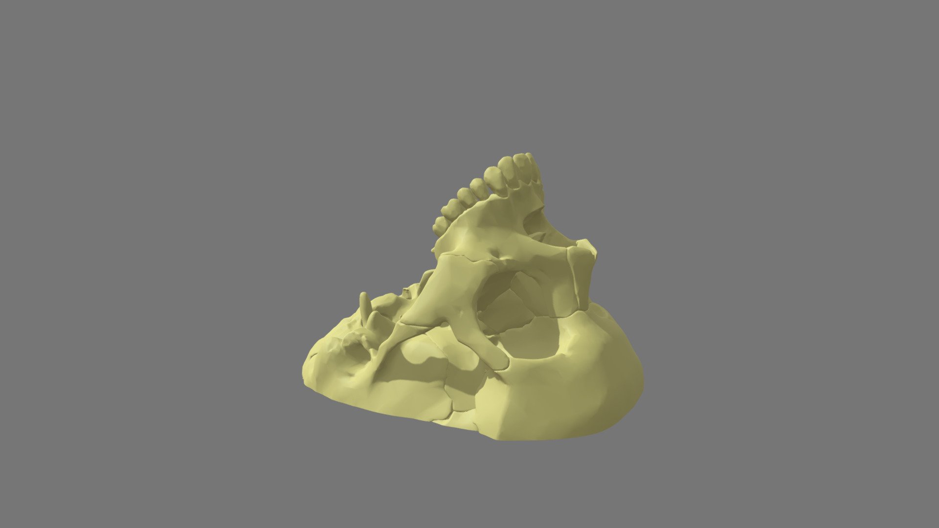 Skull_ Face - Download Free 3D model by bonestudio [aeaa7ea] - Sketchfab