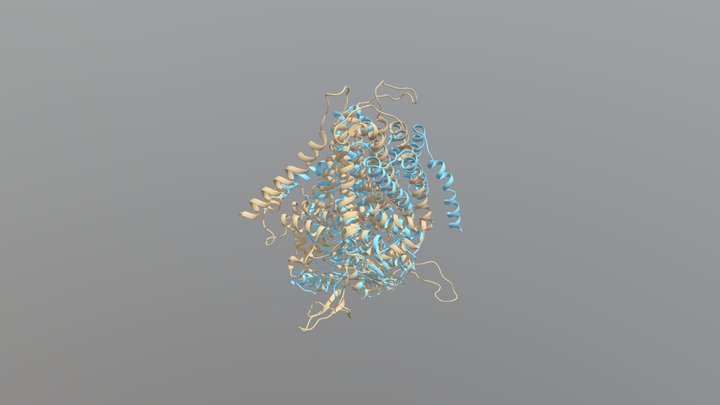Cellulose 3D models - Sketchfab