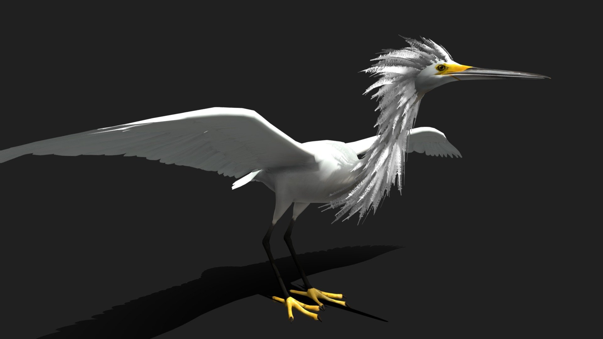 Realistic Egret 3D Model - Download Free 3D model by WildMesh 3D (@WildMesh_3D) [aeb3791 ...