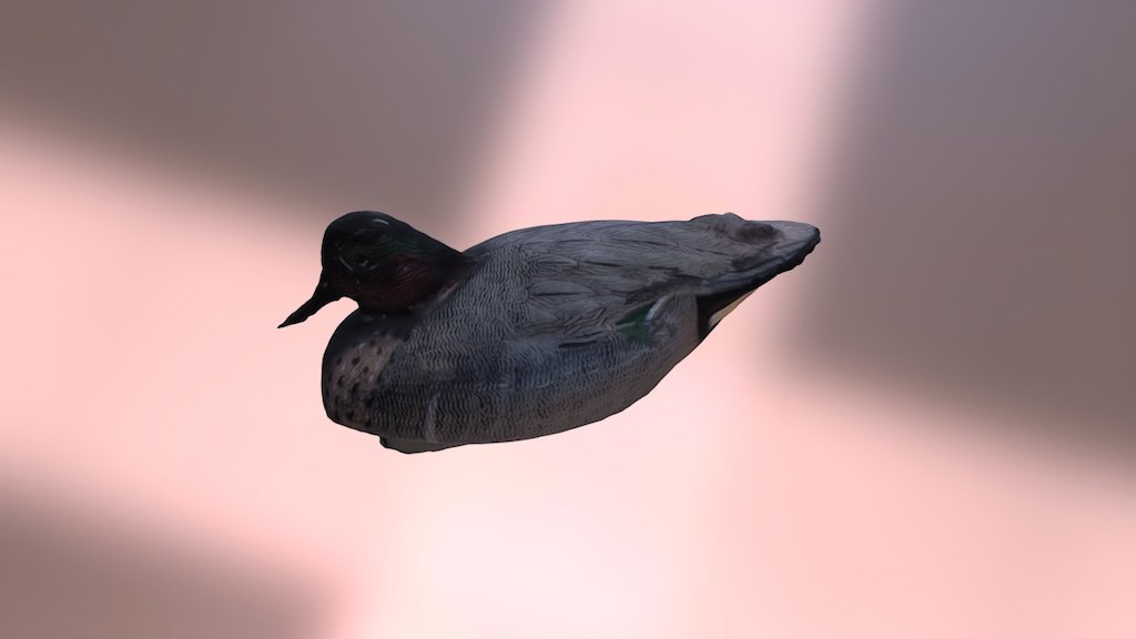 Decoy - Download Free 3D model by hbui (@quanghuybui) [aeb3f30] - Sketchfab
