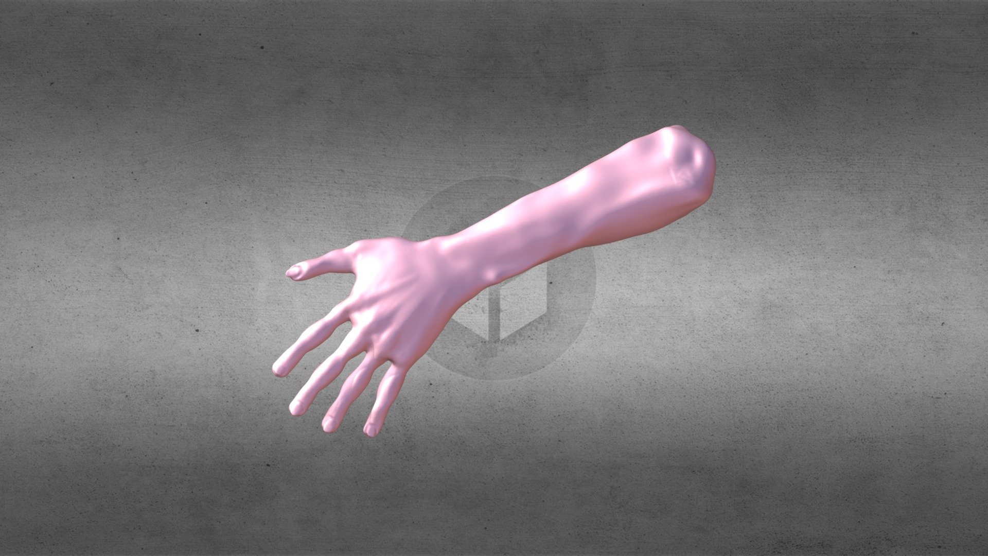 arm - 3D model by Yoo.Kaewsuk [aebd003] - Sketchfab