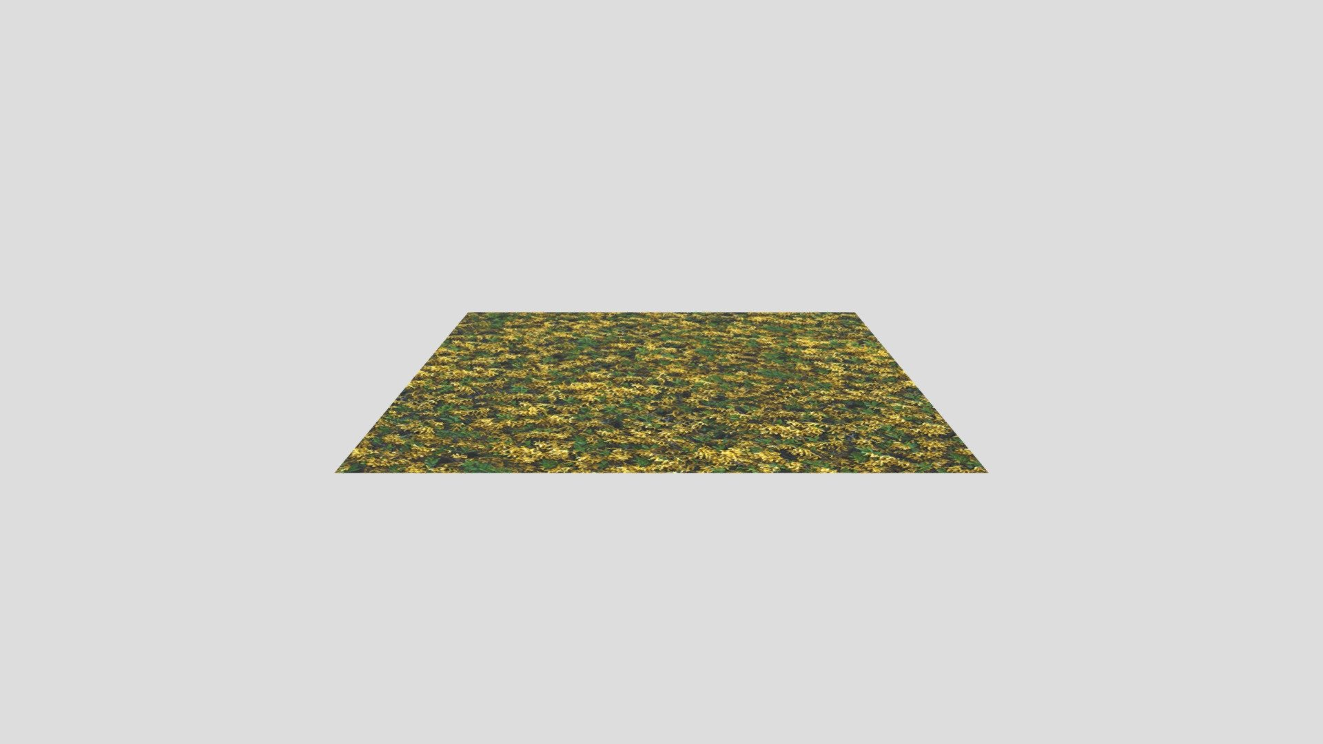 grass plane - Download Free 3D model by raynazenit [aec867c] - Sketchfab