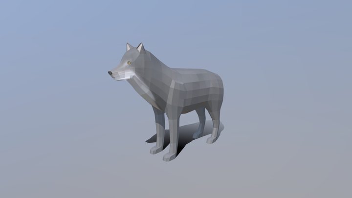 Grey-wolf 3D models - Sketchfab