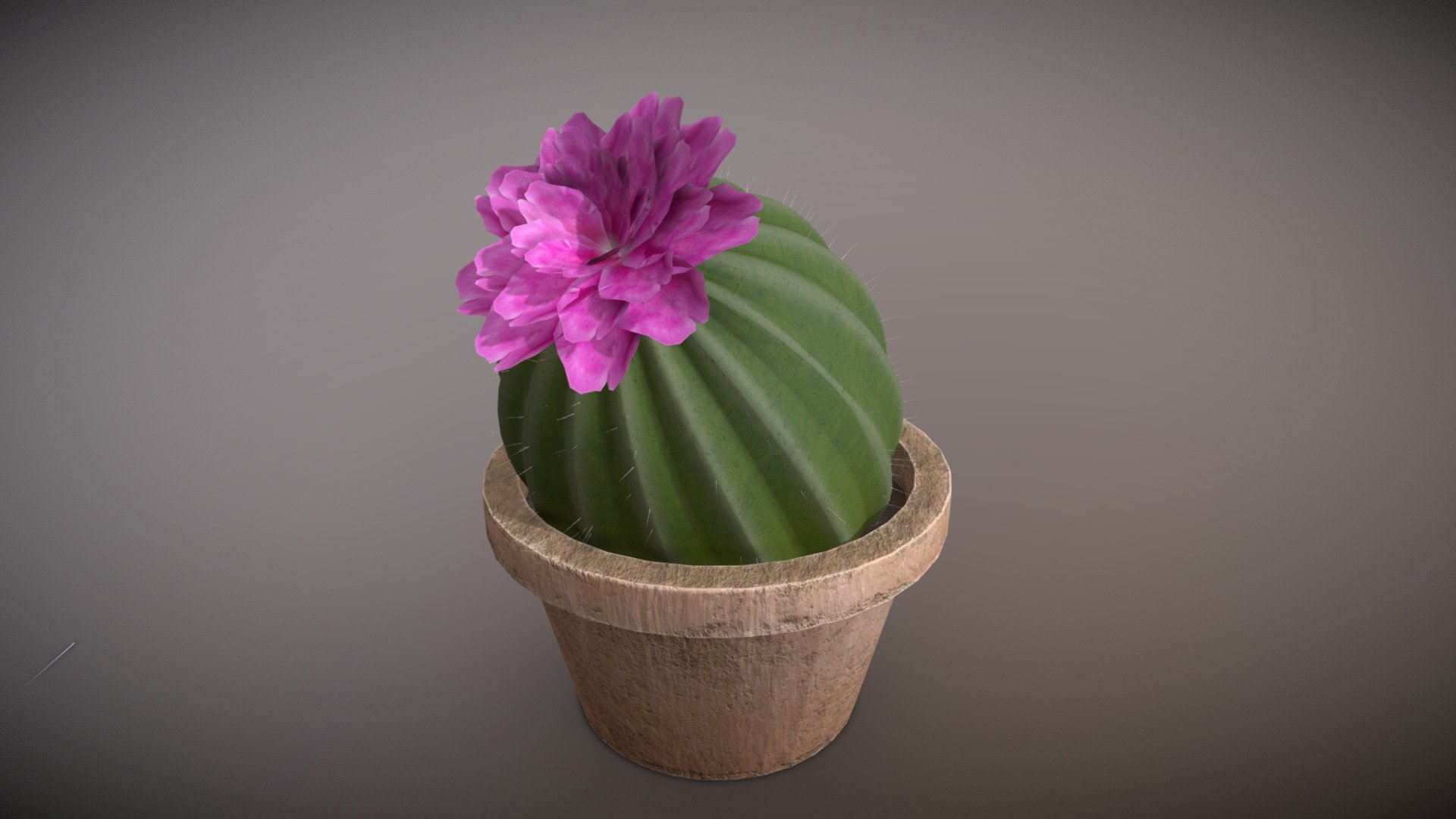 Indoor Home Cactus with Flower - Buy Royalty Free 3D model by Incg5764 ...