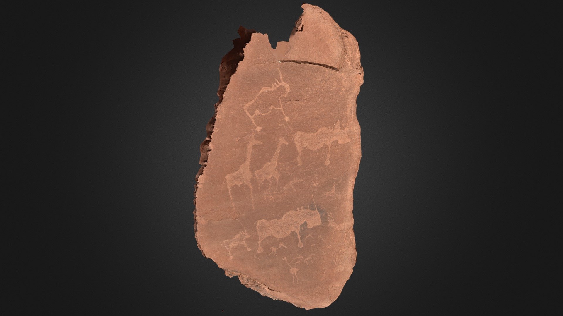Rhino Panel - Download Free 3D model by rmark [aecd952] - Sketchfab
