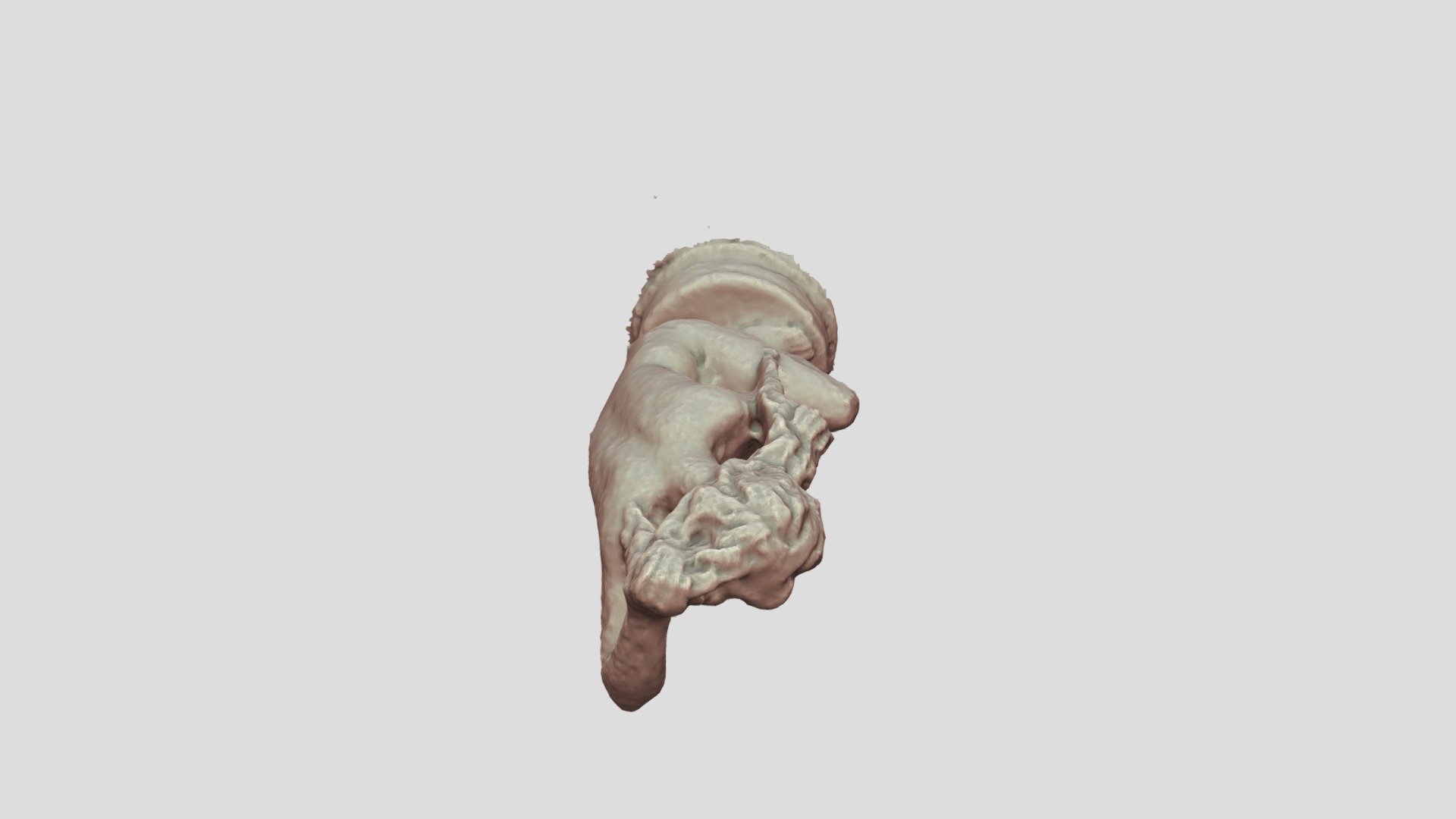 Despoina Bampa - Download Free 3D model by DESPOINABAMPA2 [aedafae ...