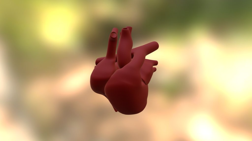 Heart project - 3D model by granex2003 [aedb0f5] - Sketchfab