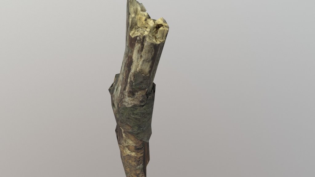 Wood Stick 08 Remesh - Download Free 3D model by Dane Badenhorst ...