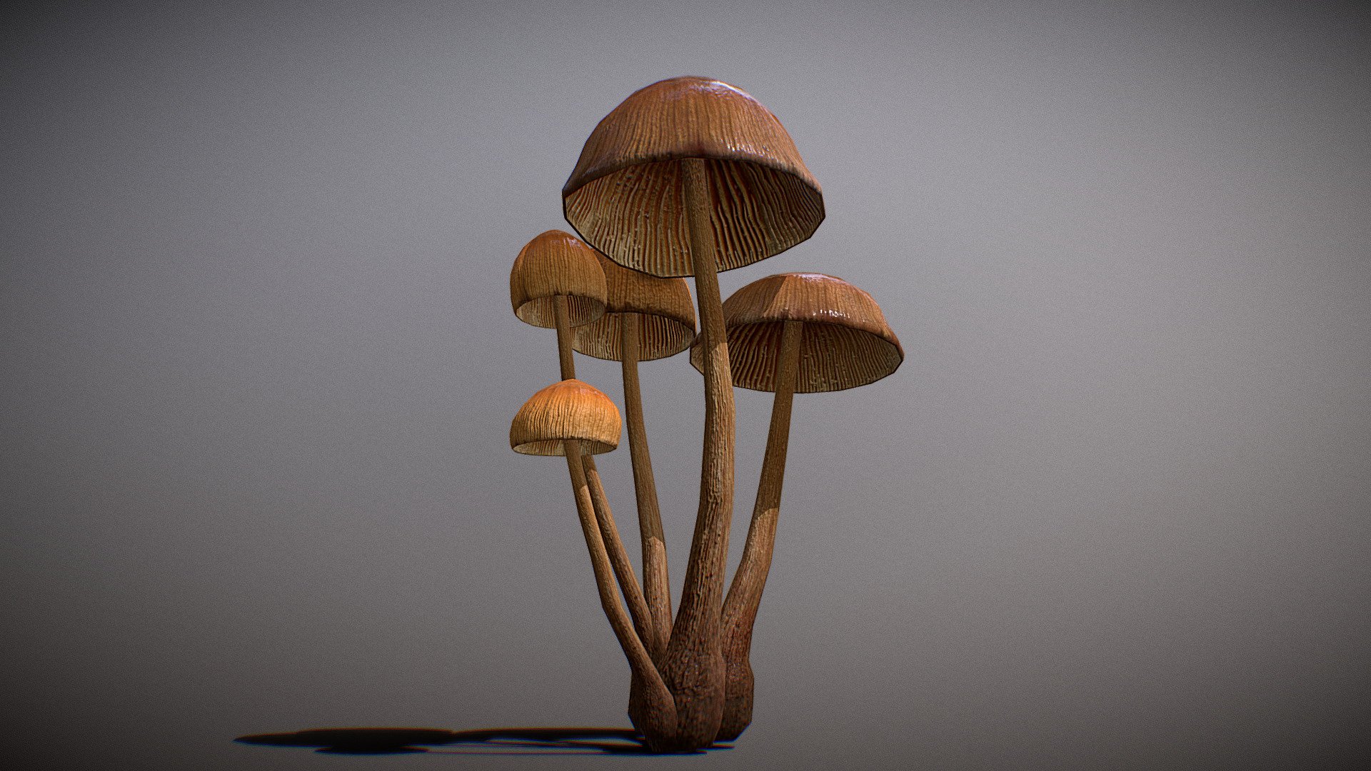 Realistic Mushroom - 01 - Download Free 3D model by SanForge Studio (@SanForge) [aededce ...