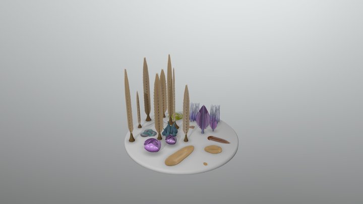 Ediacaran 3D models - Sketchfab