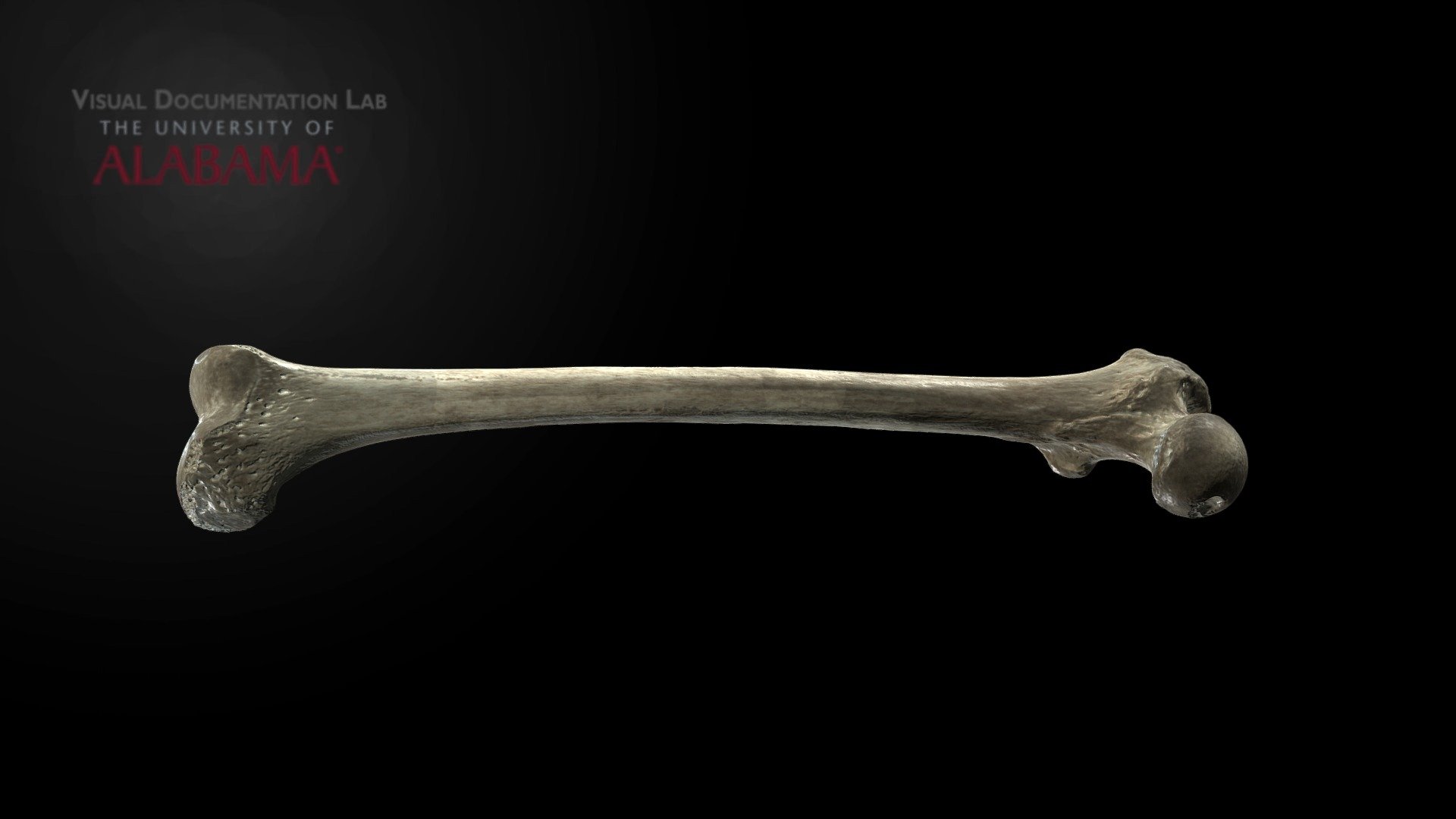 Test 300 mm FOV, 0.18 mm XY - 3D model by Alexandre Tokovinine ...
