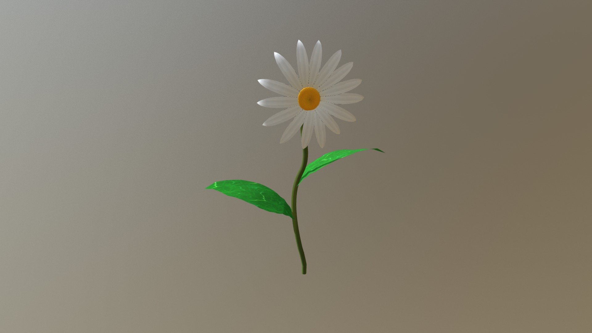 Romashka - Download Free 3D model by asyk [aee9ad2] - Sketchfab