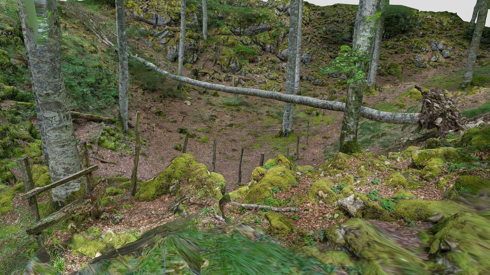 Fallen tree over a fence makes a bridge - Buy Royalty Free 3D model by ...