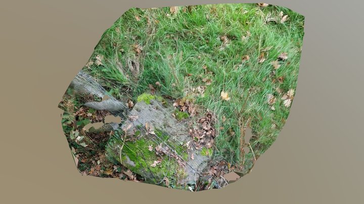 Wayside 3D models - Sketchfab