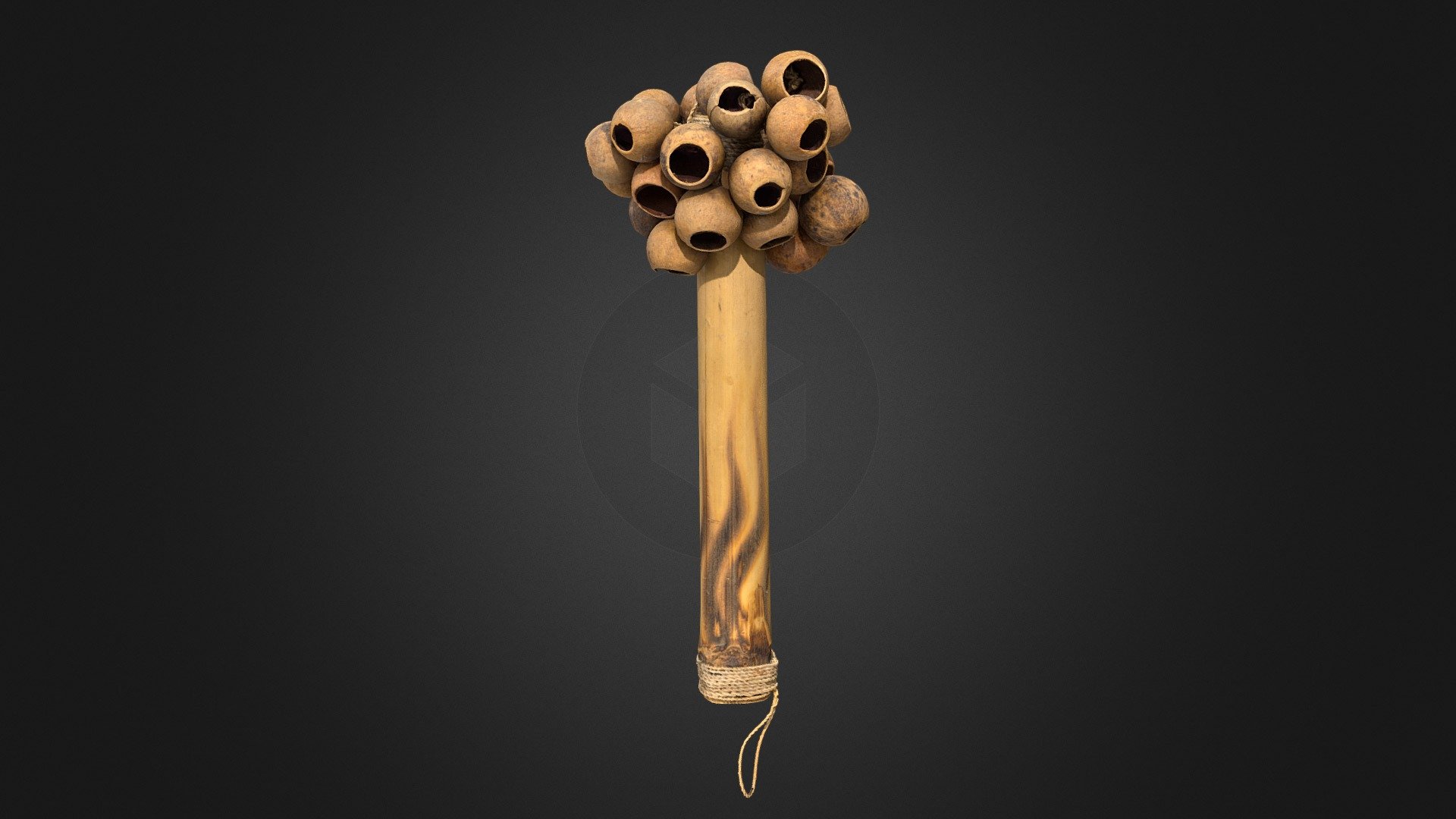Peruvian Maraca Seed - Download Free 3D model by Andrea Spognetta ...