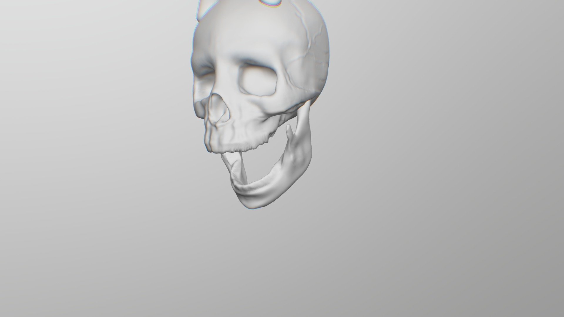 Skull - 3D model by deadAdzy [aef54c2] - Sketchfab