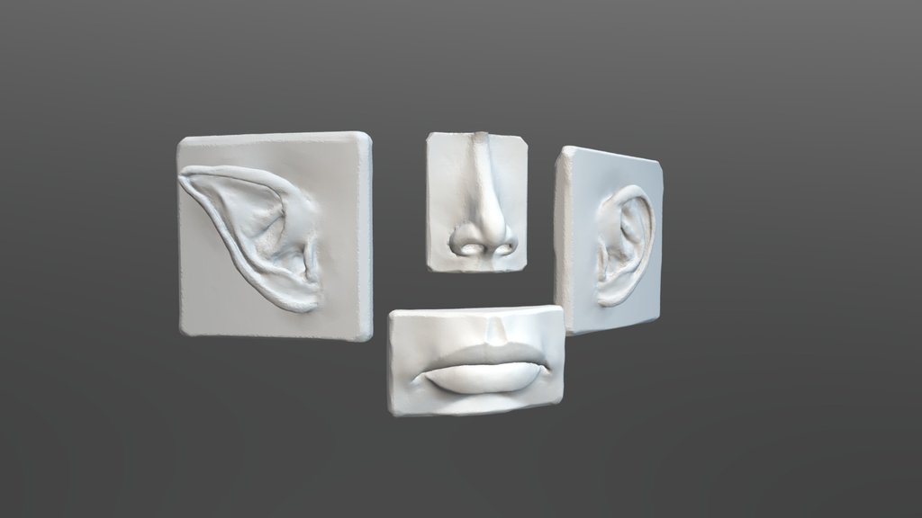 Facial Features - A 3D model collection by ChronosxArts - Sketchfab