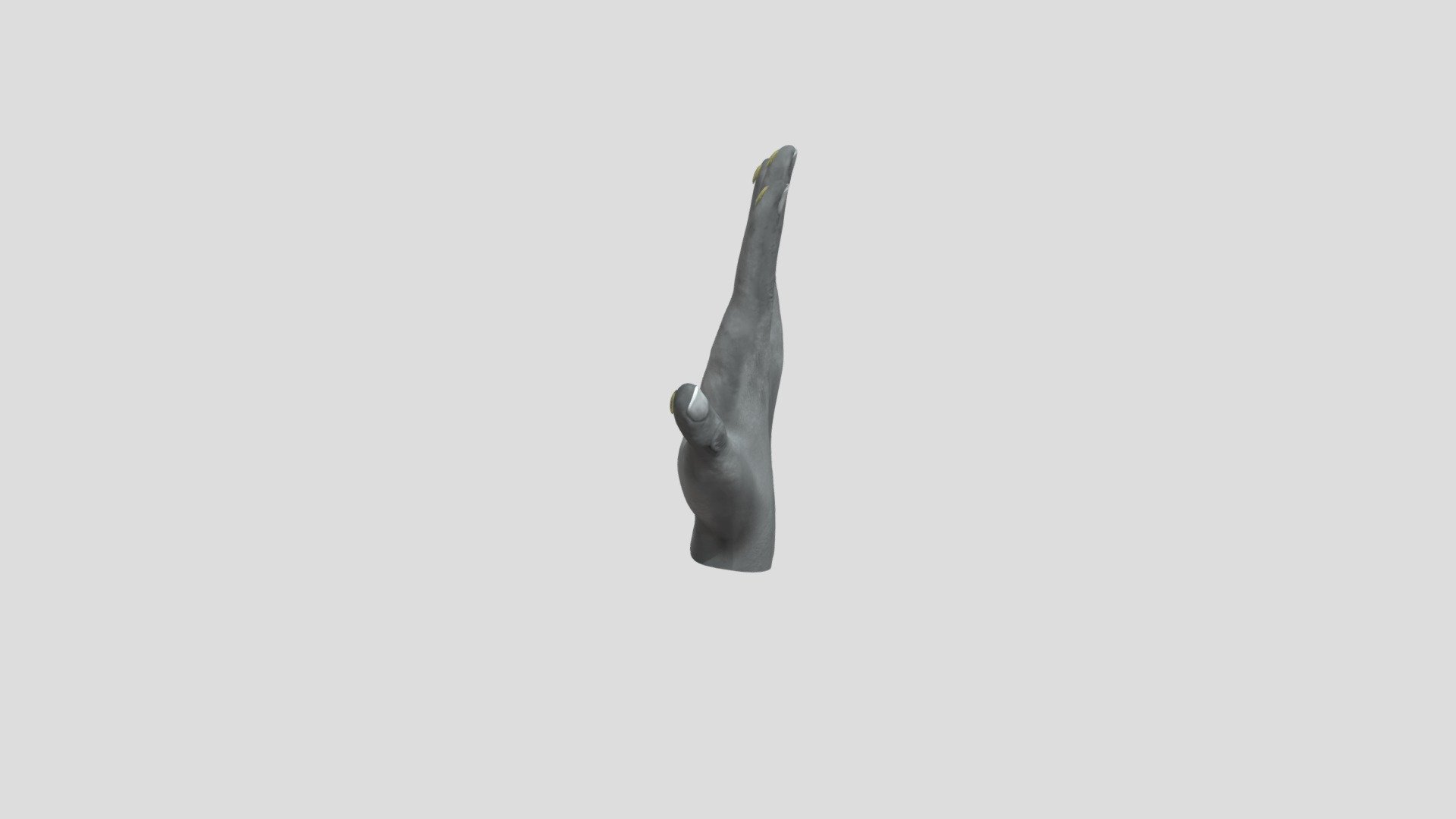Hand4 - Download Free 3D model by rafaelluizleitedesal [aefbb41 ...