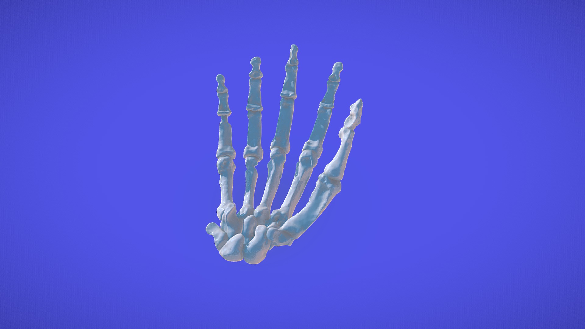 HOMO NALEDI HAND-3D PRINTING. - Download Free 3D model by ramon ...