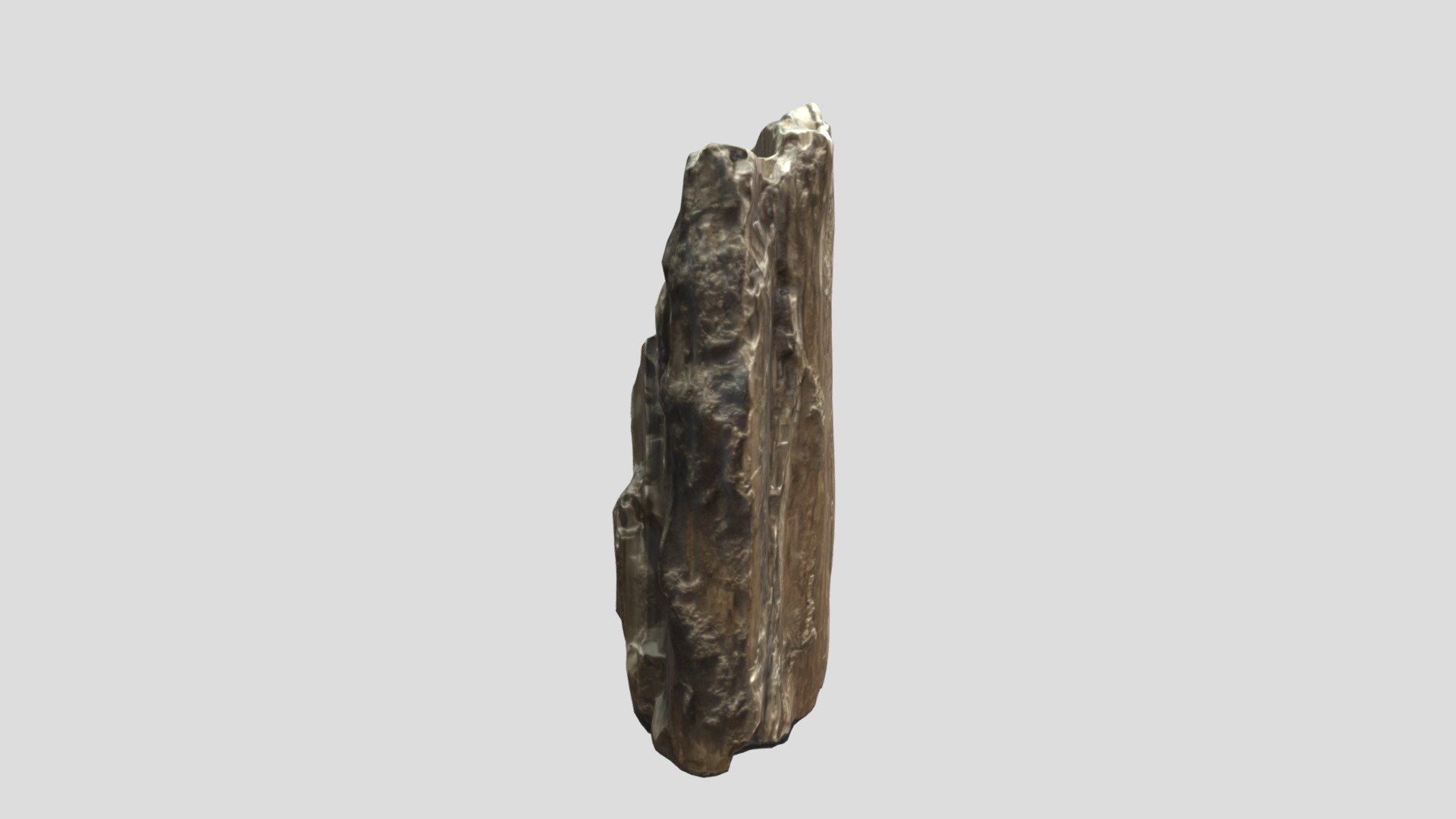 Petrified Wood - 3D model by Azorathum [af07c6d] - Sketchfab