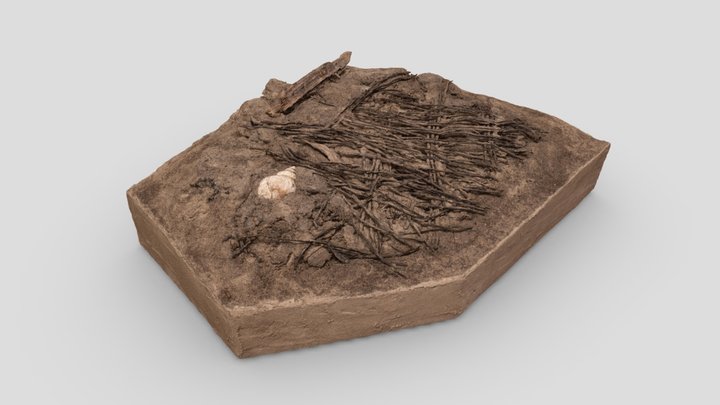 Fish-trap 3D models - Sketchfab