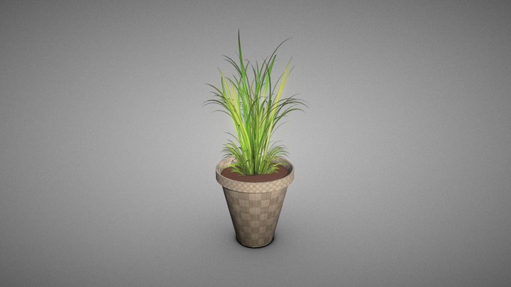 Flowerpot 3D models - Sketchfab
