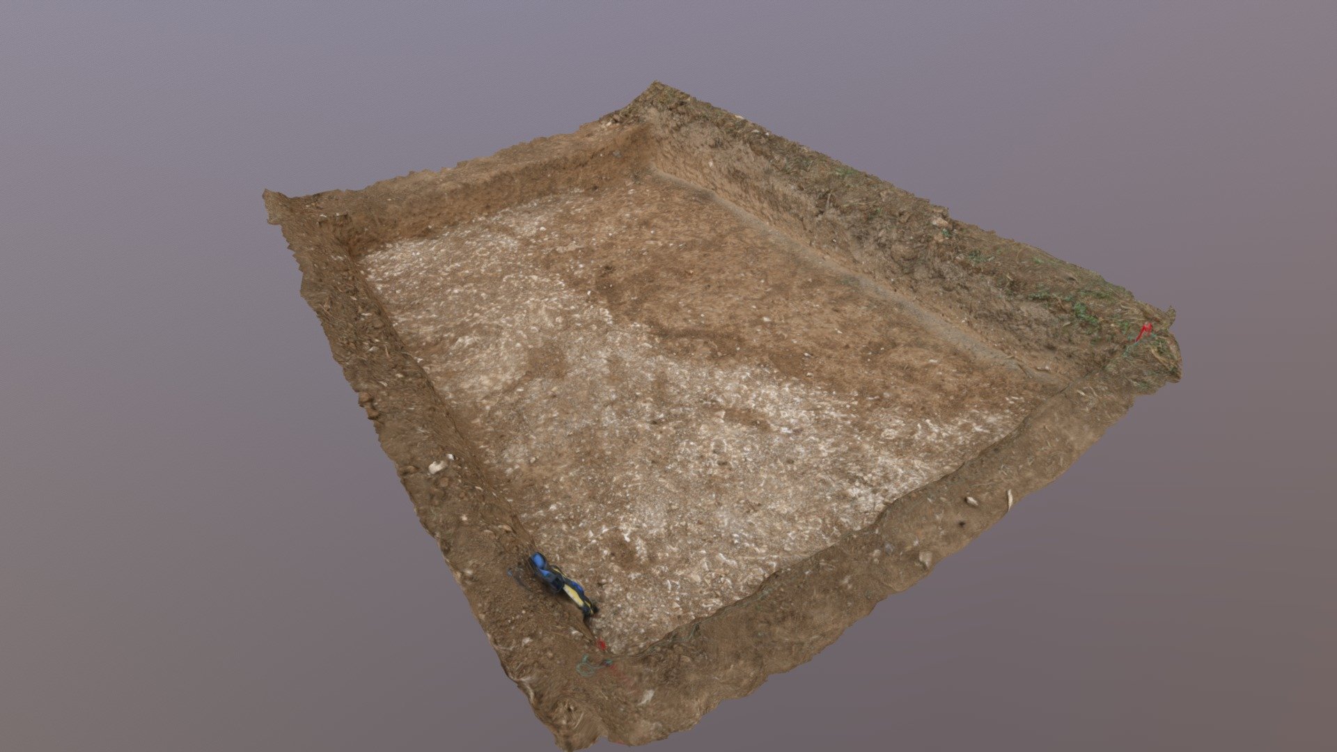 Evaluation Trench 1 West - 3D model by geodigging [af2209a] - Sketchfab