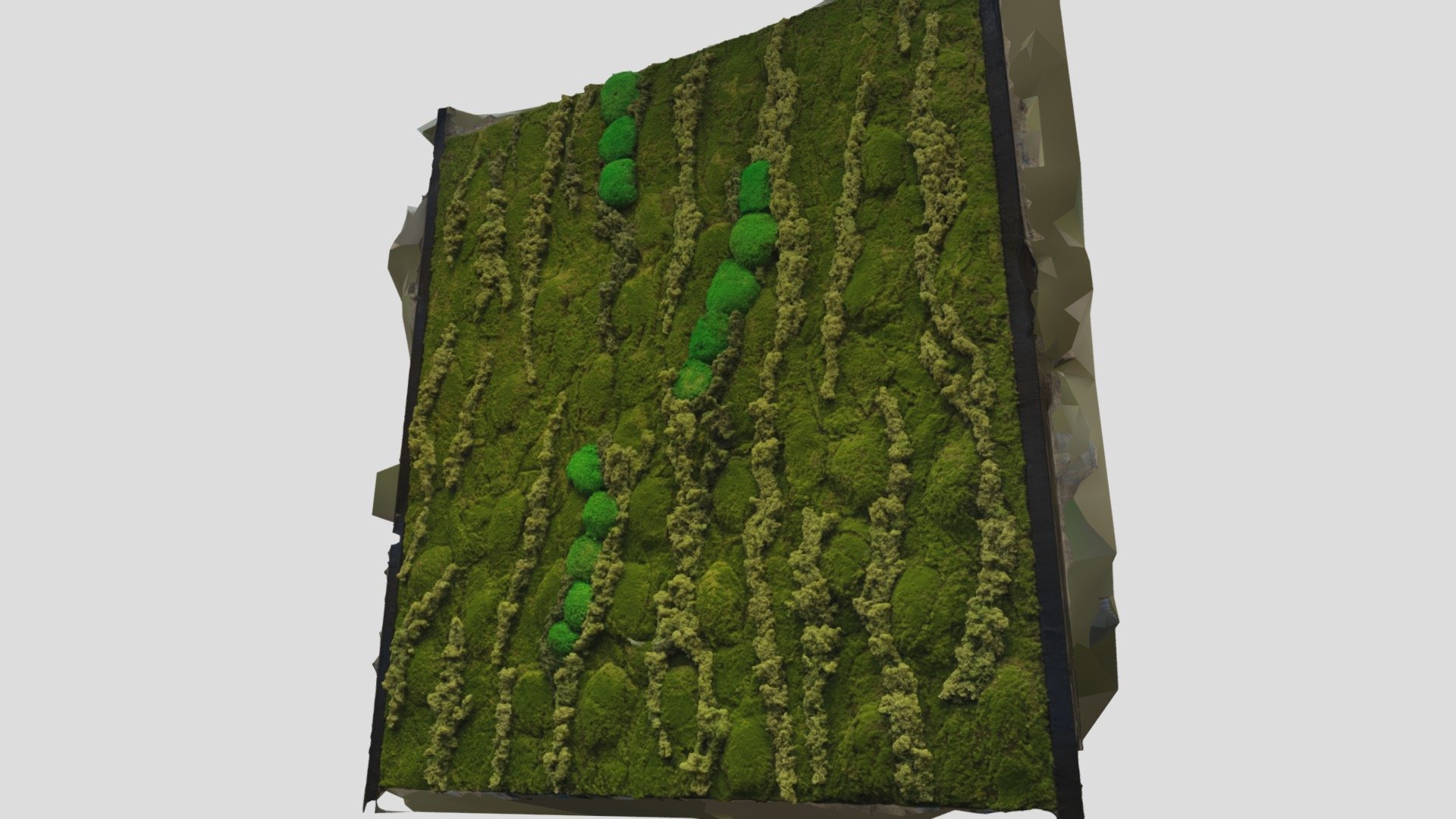 Decorative moss photoscan - 3D model by MikeRTV (@abnoksius) [af2adda ...