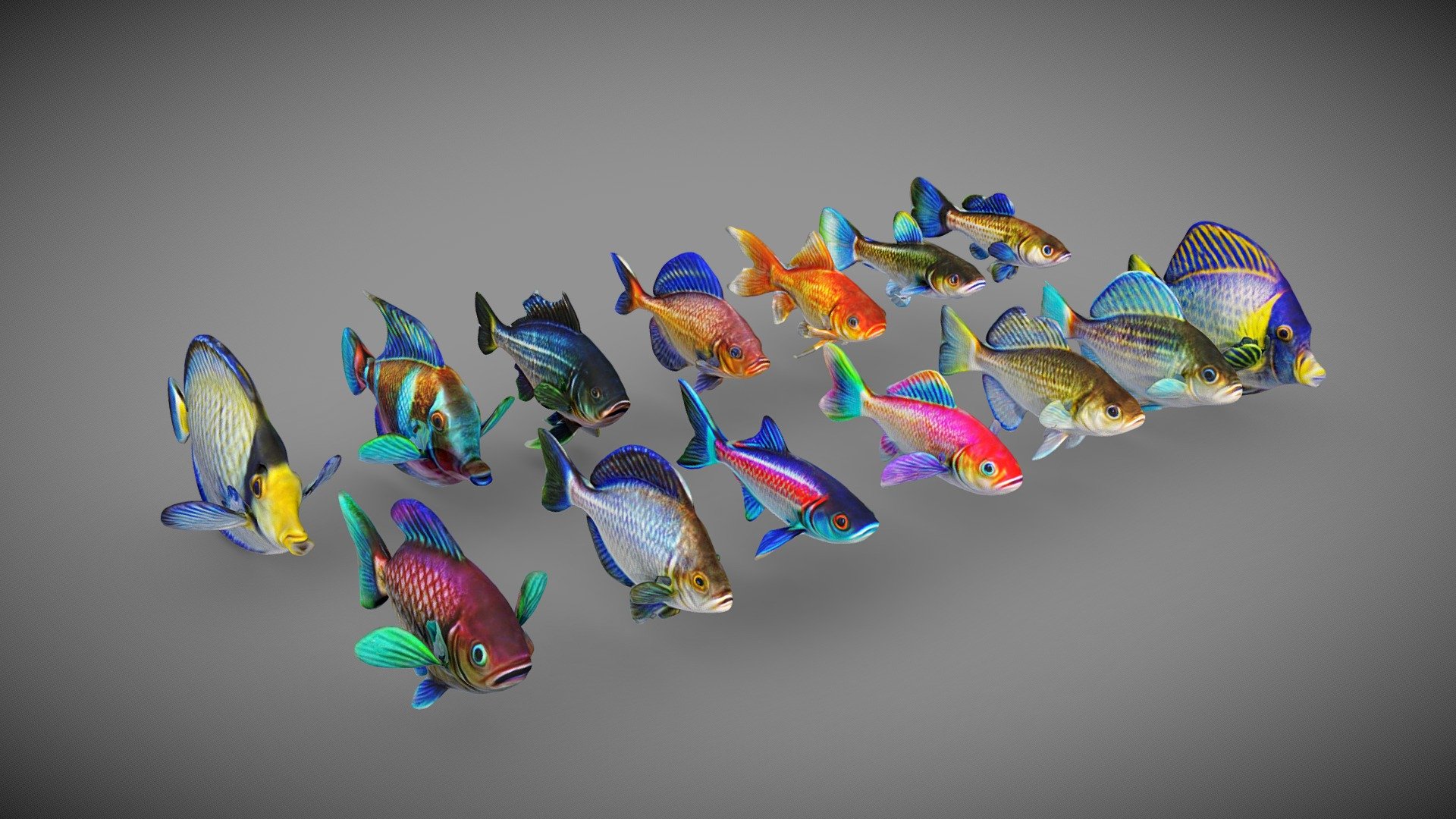 Tropical Fish - Buy Royalty Free 3D model by Eydeet [af2b438 ...