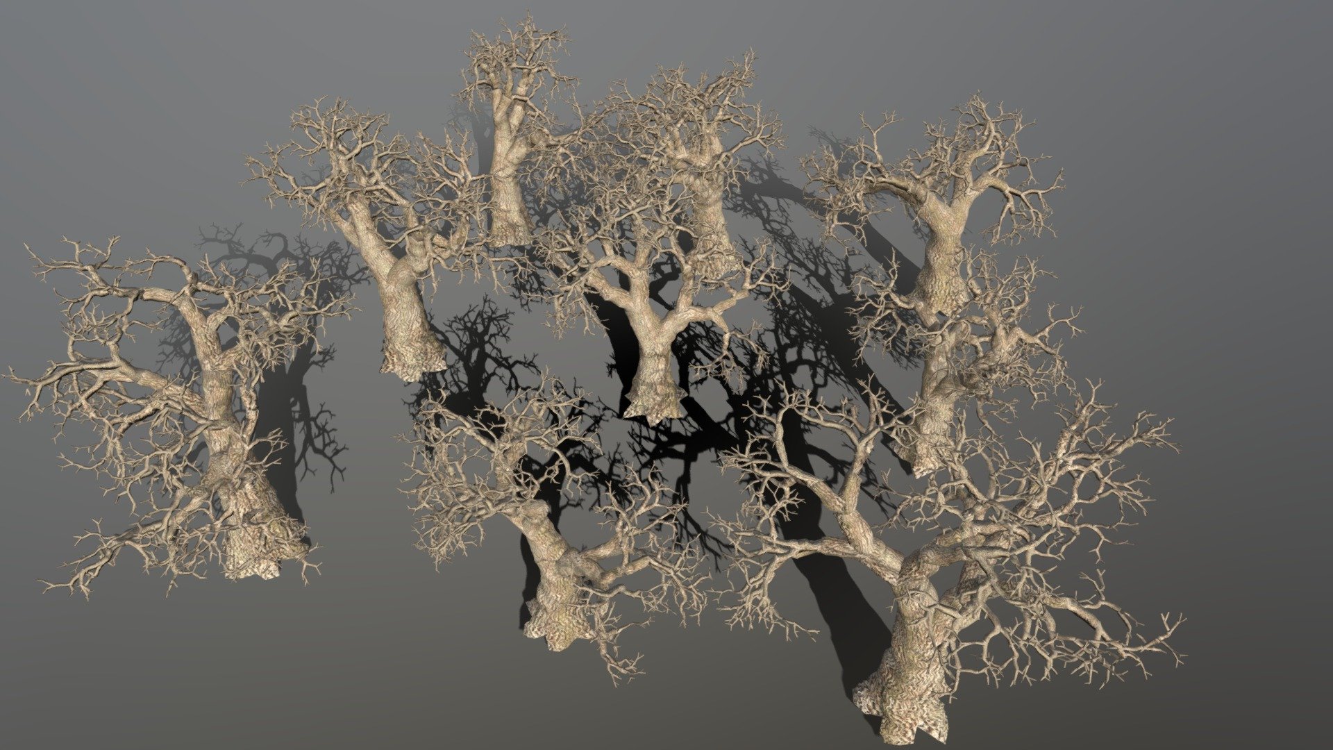 Oak Tree Pack (medium-poly) - Buy Royalty Free 3D model by Sereib [af2dbaa] - Sketchfab Store