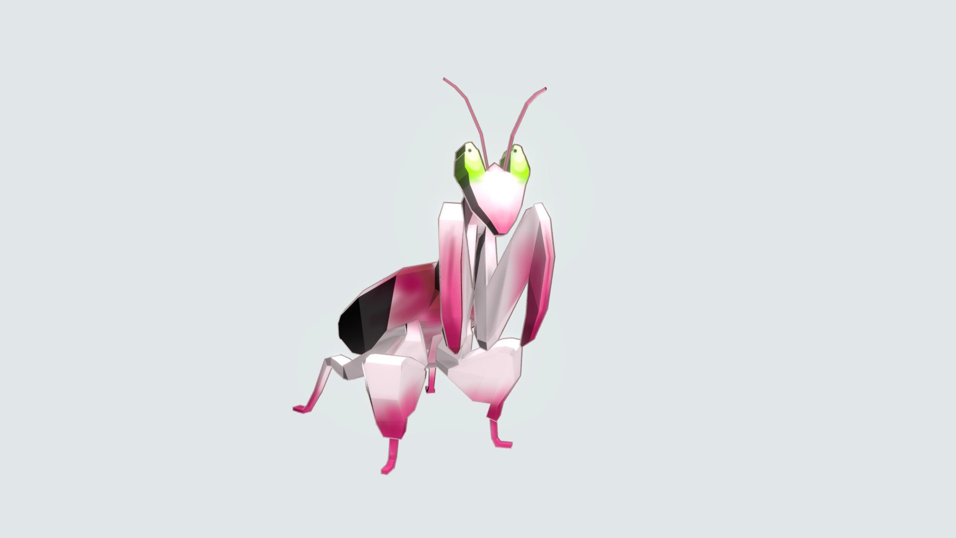 Orchid Mantis (LOWPOLY) - Download Free 3D model by Alex R. Martinez ...
