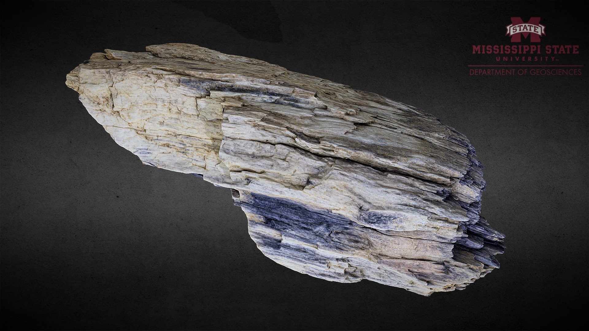 Petrified wood - 3D model by Youngwoo Cho (@yow) [af37aa3] - Sketchfab