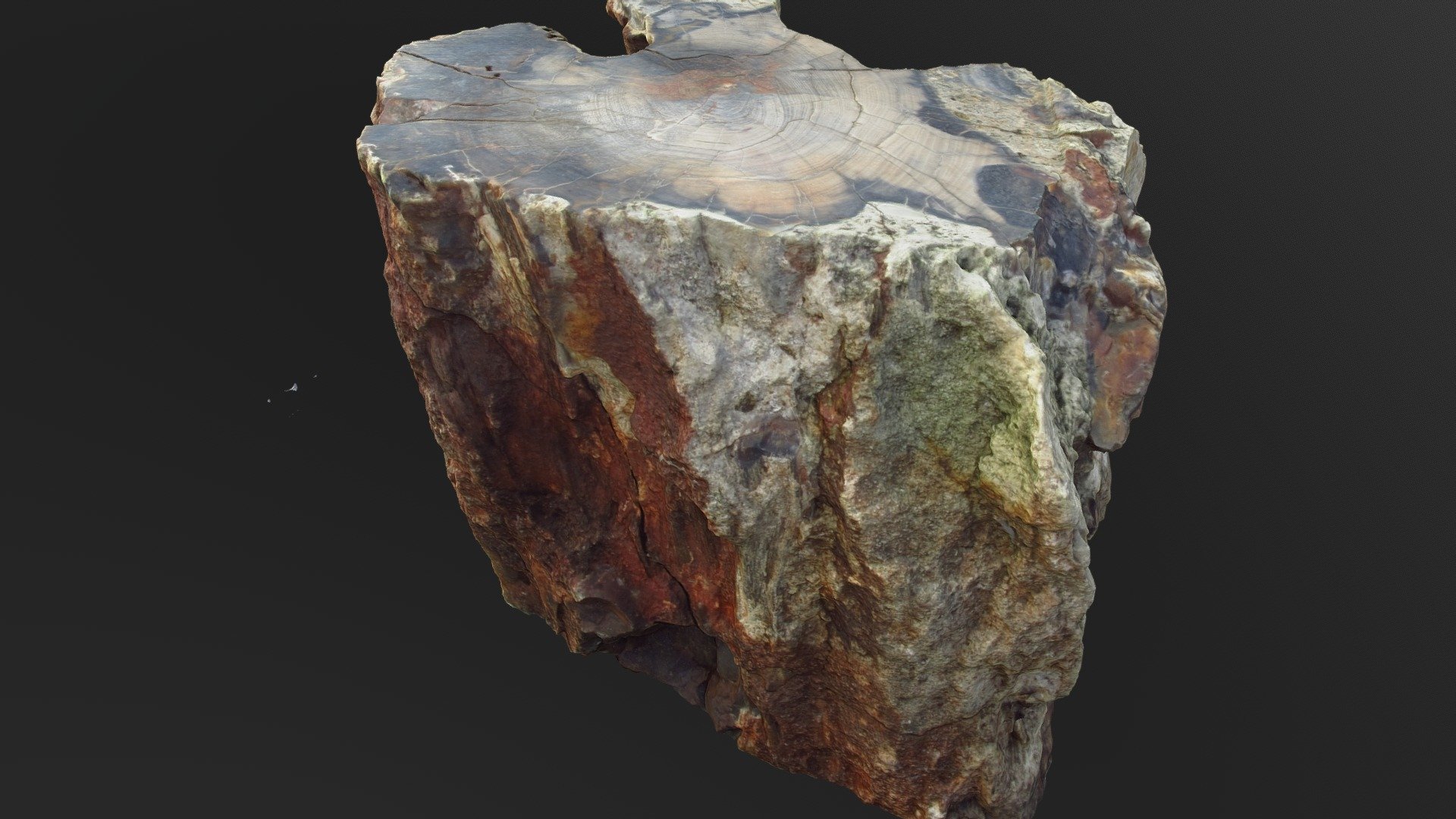 Petrifiedcutlog - 3D model by John Toeppen (@toeppen) [af3da42] - Sketchfab